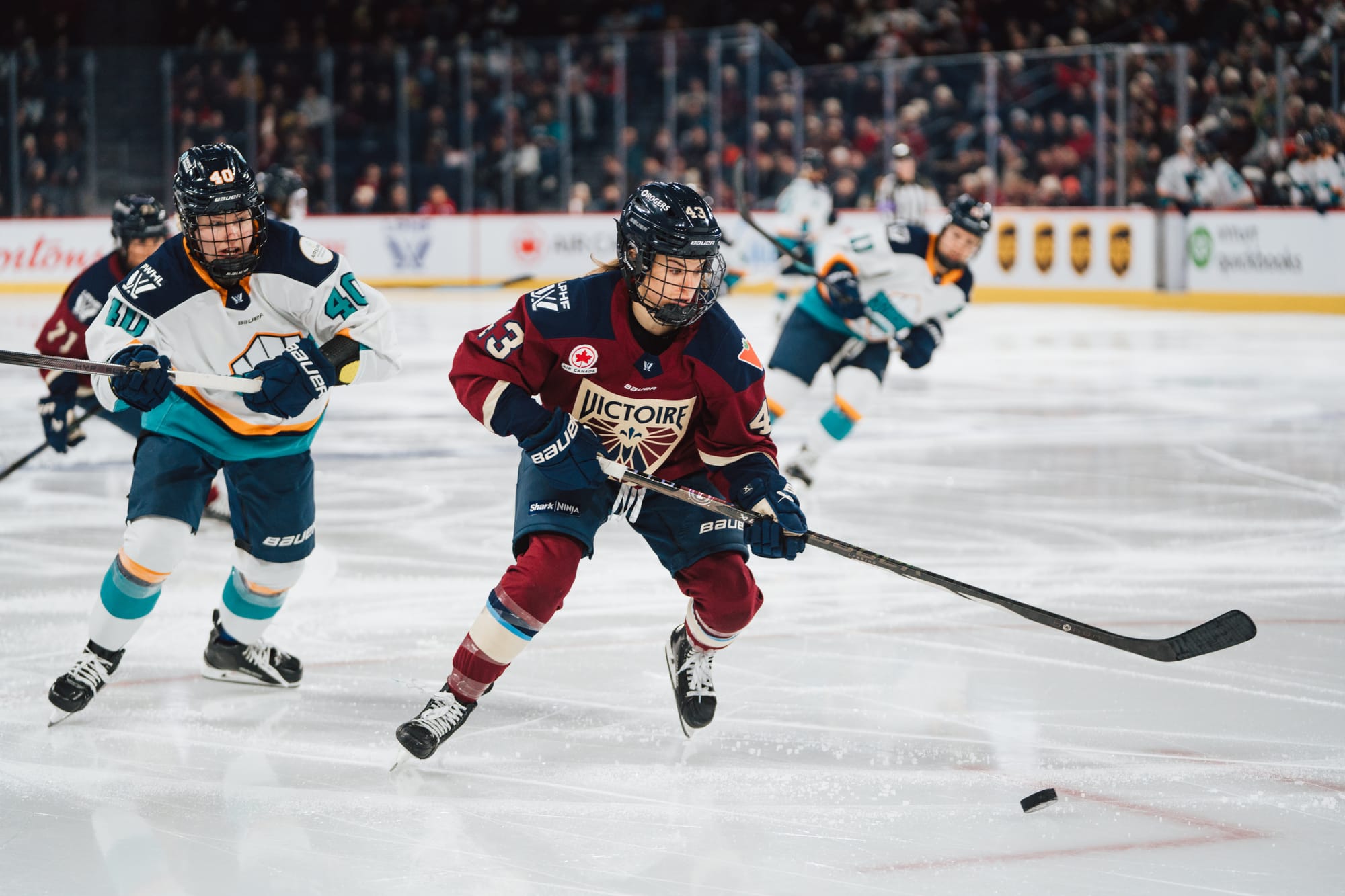 Five Questions with New York Sirens Forward Kristin O'Neill | The IX Hockey | Powered by The Ice ...