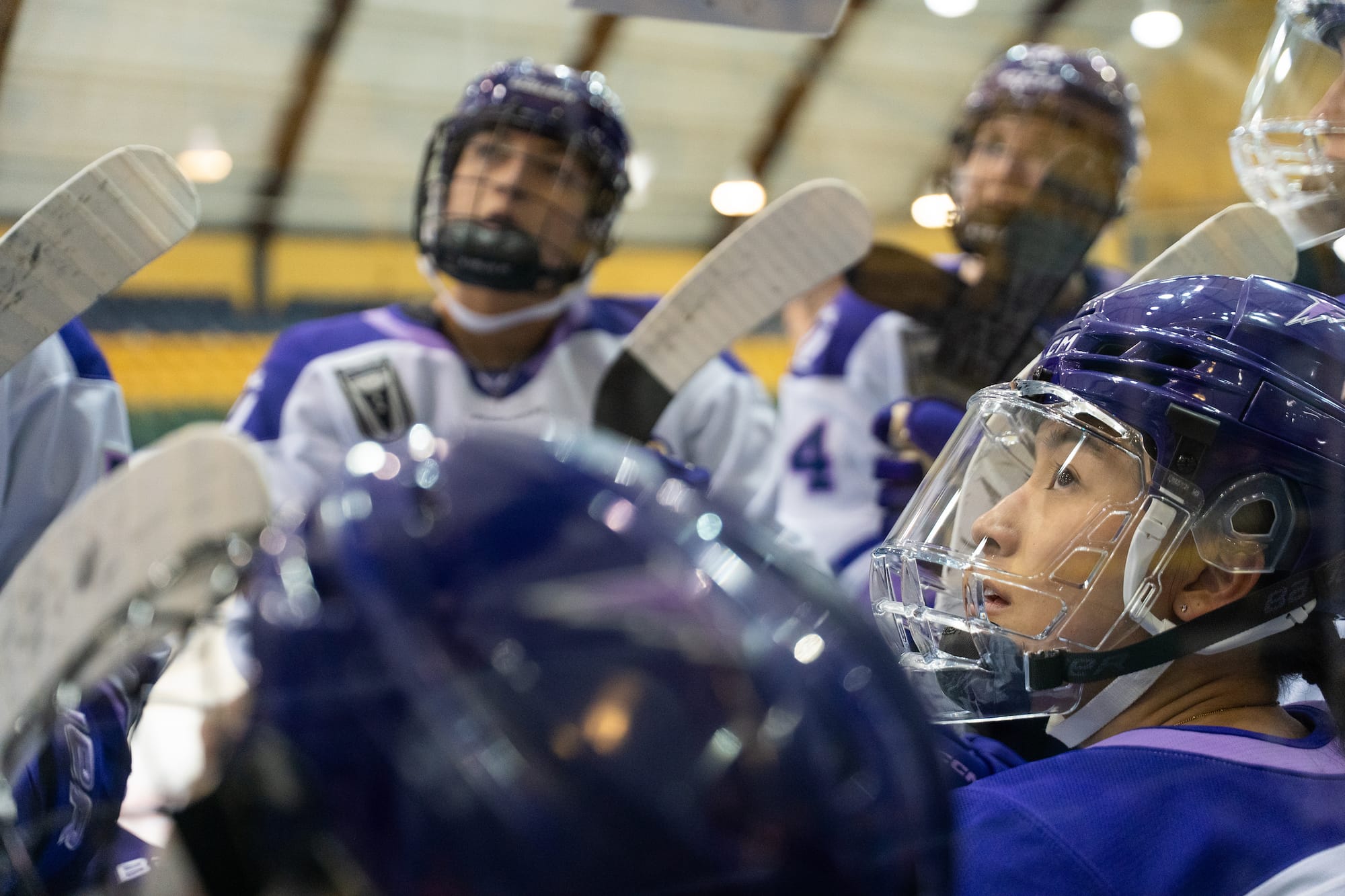 PWHL Teams Announce Final Rosters | The IX Hockey | Powered by The Ice ...